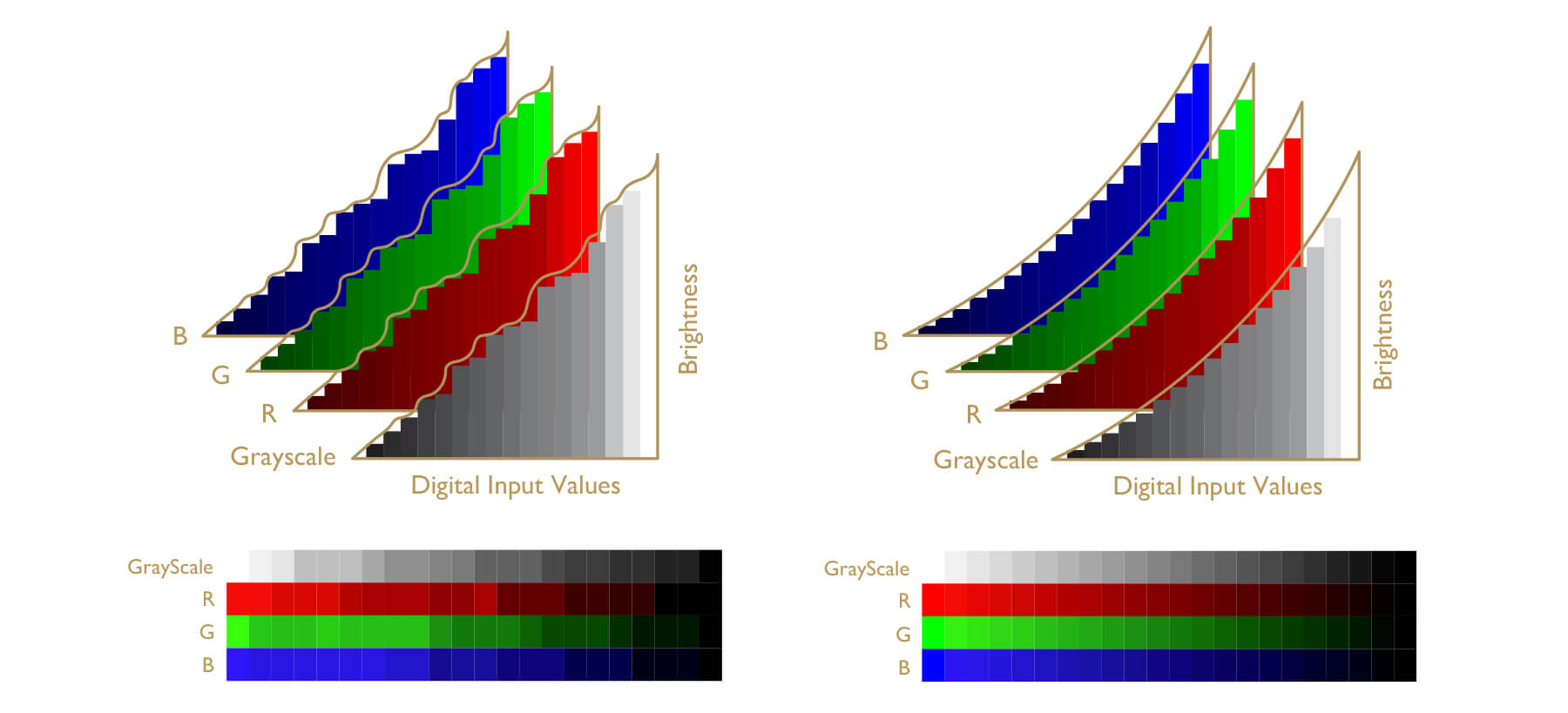 High Gamma Vs Low Gamma At Marvin Goff Blog