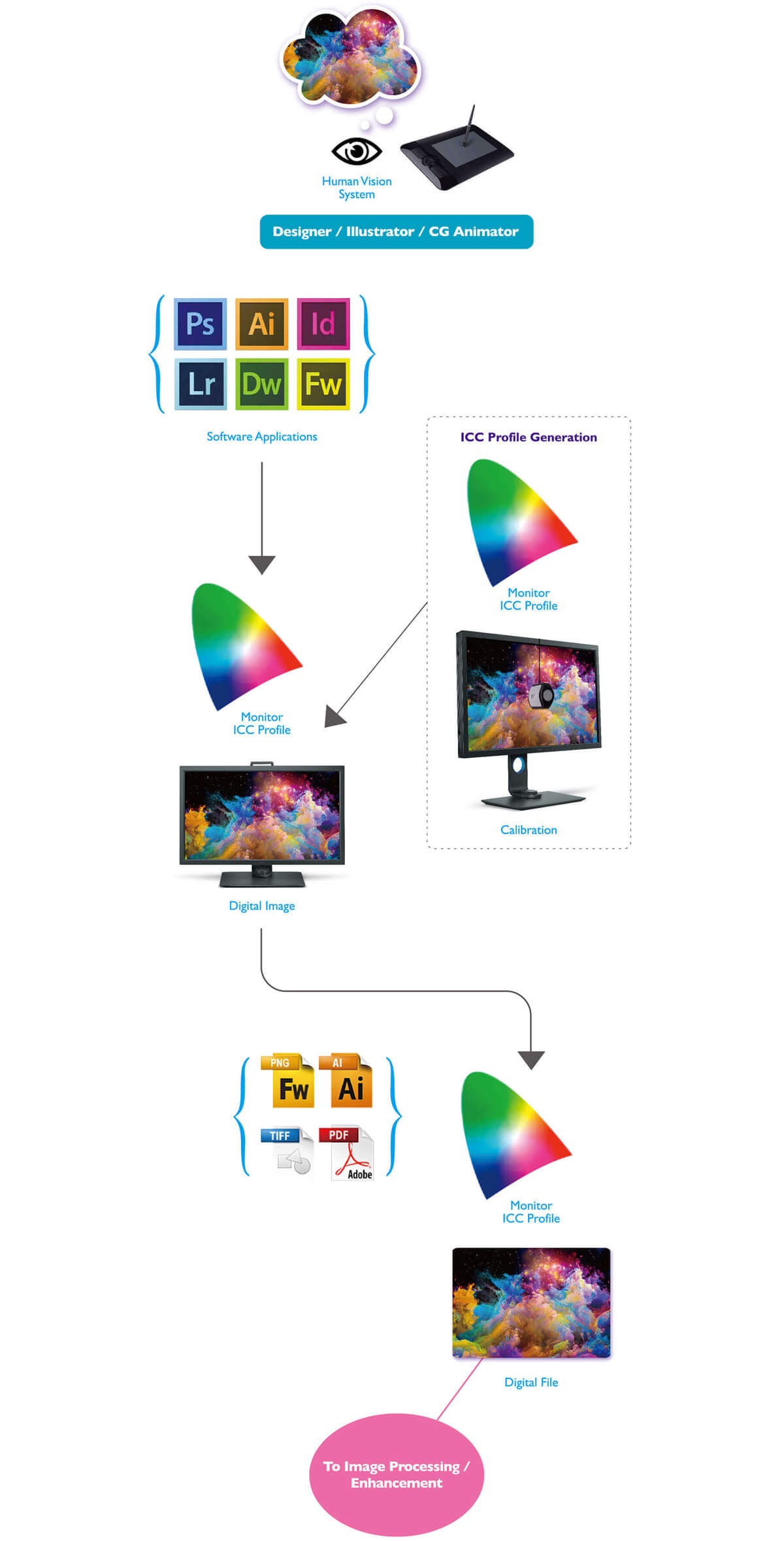 How photographers incorporate with color management workflow | BenQ UK