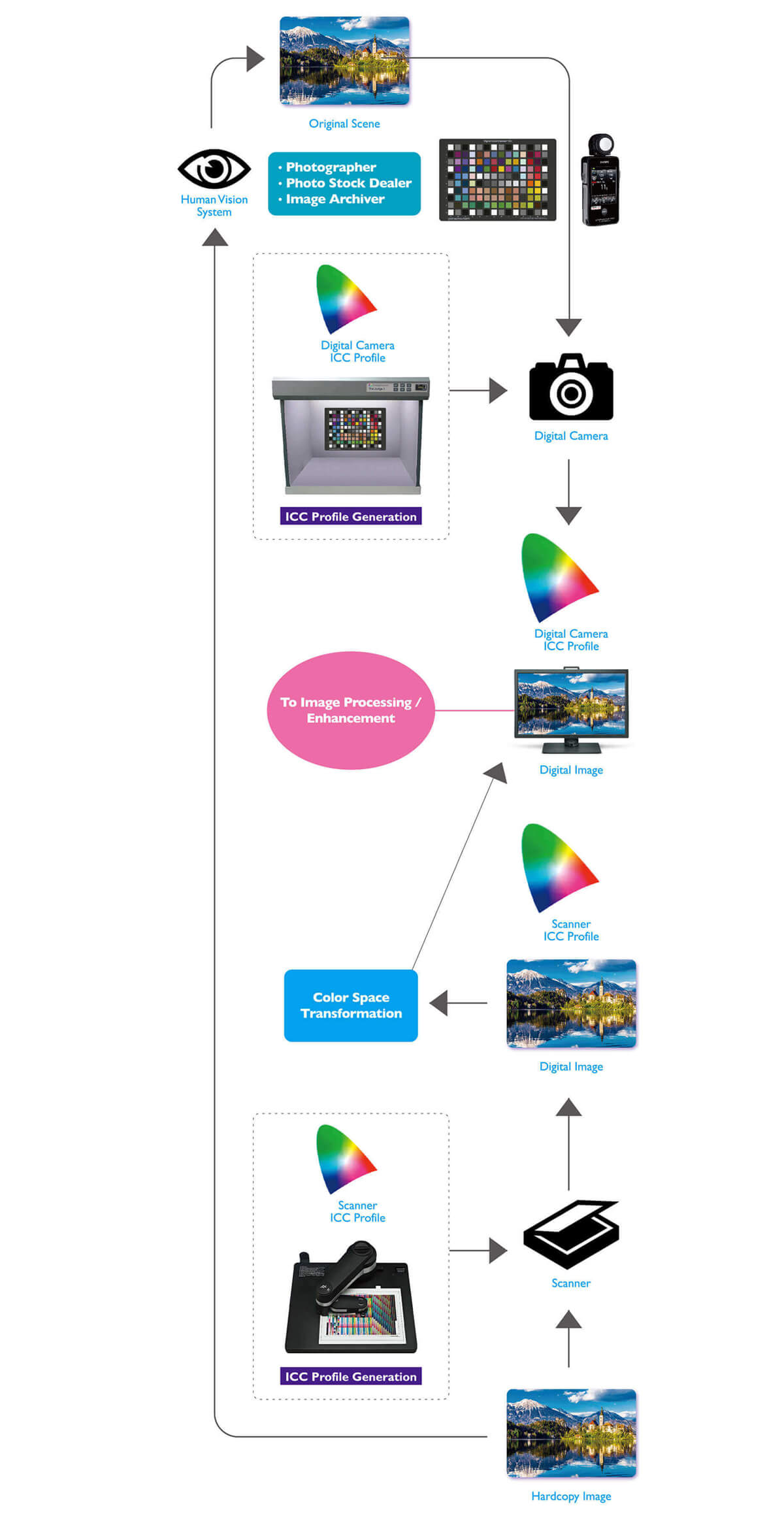 How photographers incorporate with color management workflow | BenQ UK