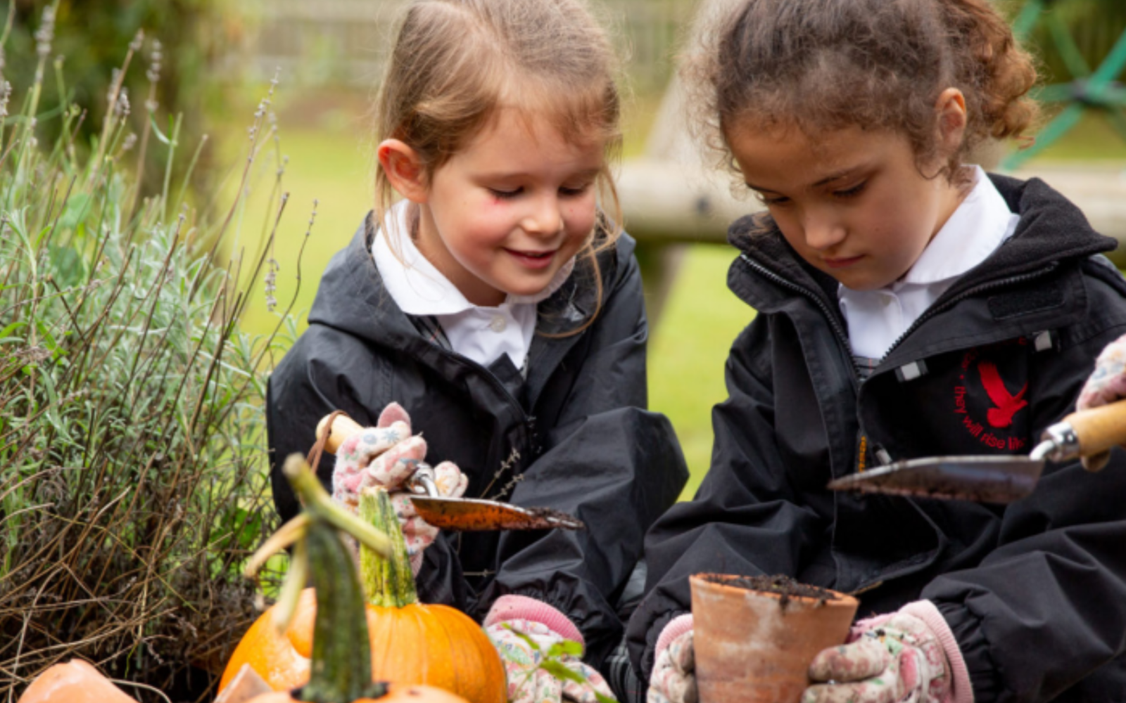 Pipers Corner School Transforms Classrooms into Digital Collaboration ...