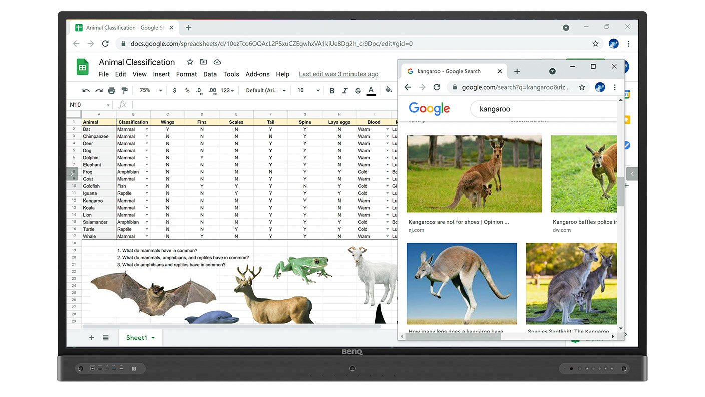 Class Activities with Google Sheets on BenQ Boards | BenQ Education UK